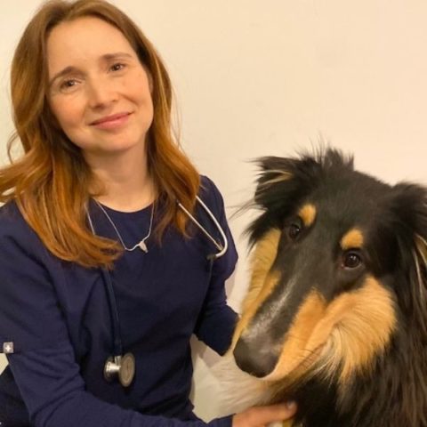 Toronto, ON M6G 1A4 Veterinanians - College Street Animal Hospital